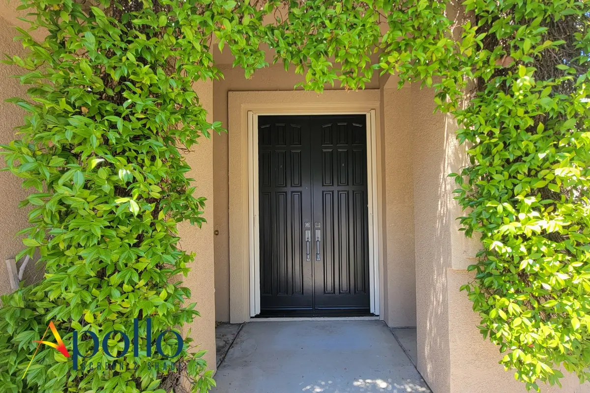 Case Study: Introduction to A Gateway to Comfort and Style with Double ...