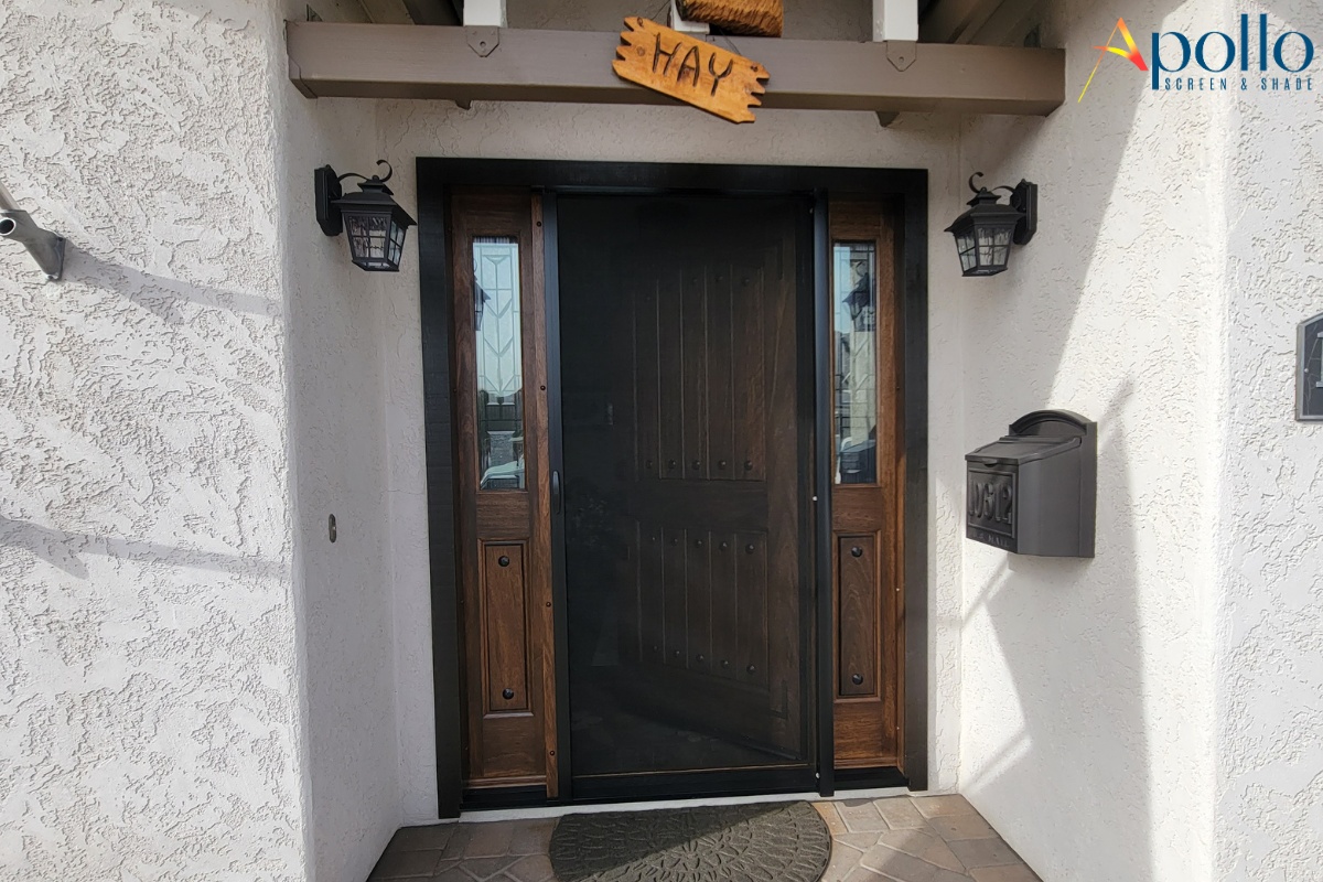 Case Study: Elevating Home Value and Elegance in Santee with Front Door ...