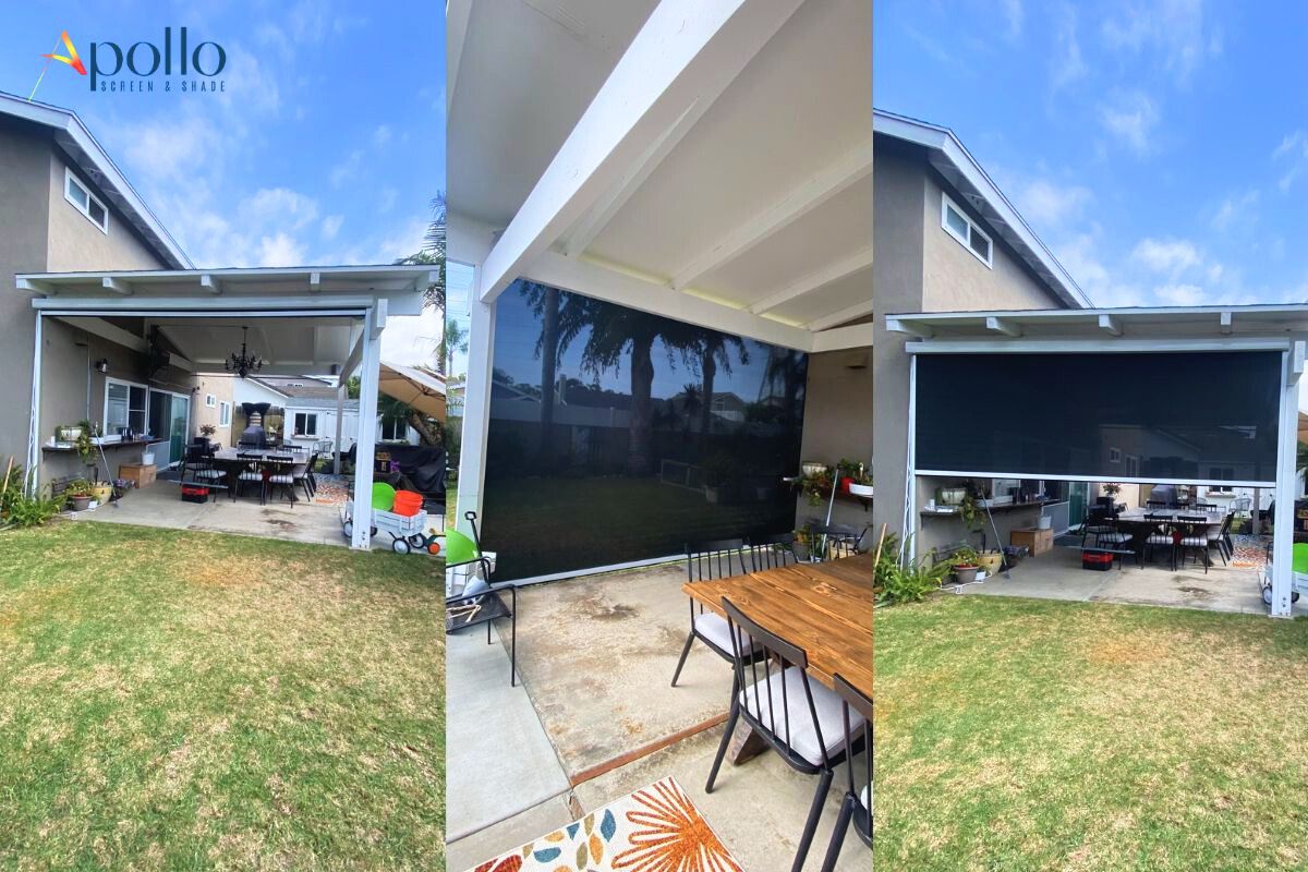 Case Study: Transform Your Outdoor Space with Backyard Motorized ...