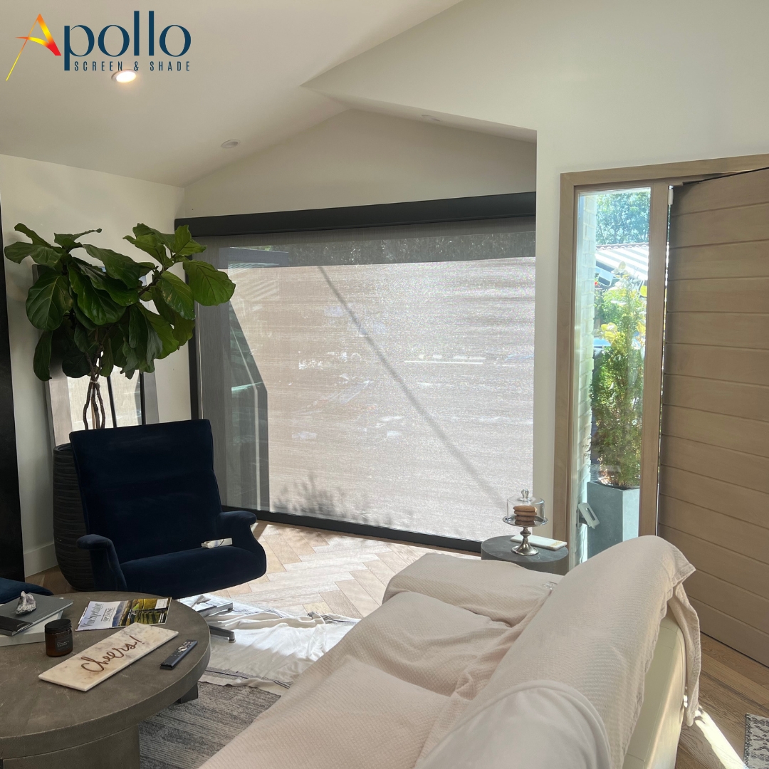 Premium Screen Combo in Costa Mesa, CA: Apollo Motorized Shade + Single ...